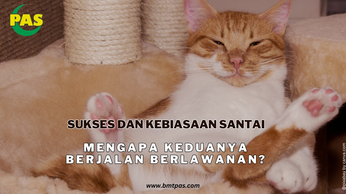 Sukses dan Kebiasaan Santai: Mengapa Keduanya Berjalan Berlawanan ...